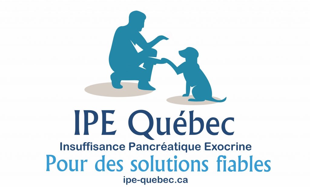 IPE Québec Archives - IPE Québec