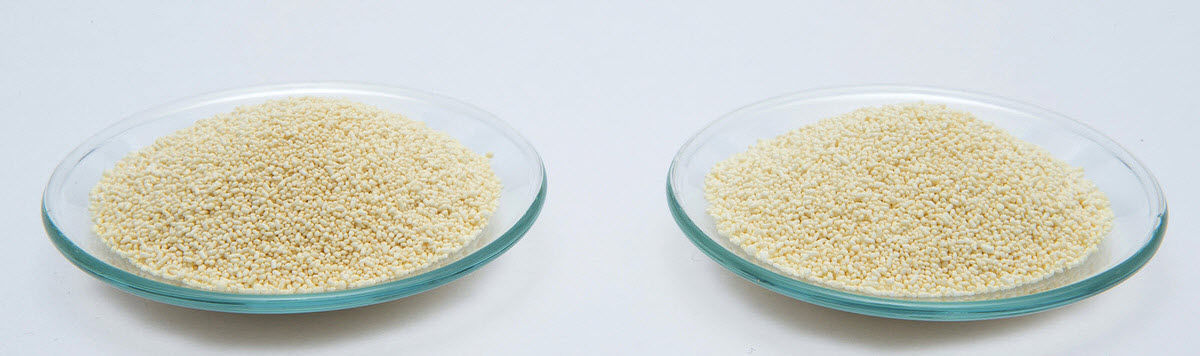 Pank Aid - Enzymes - IPE Québec - Alternative enzymes effective