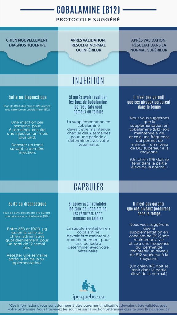 Cobalamine - IPE Québec - Nouveau Protocole suggéré